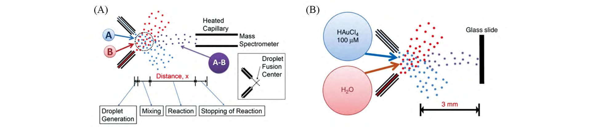 质谱技术在反应监测中的发展和应用